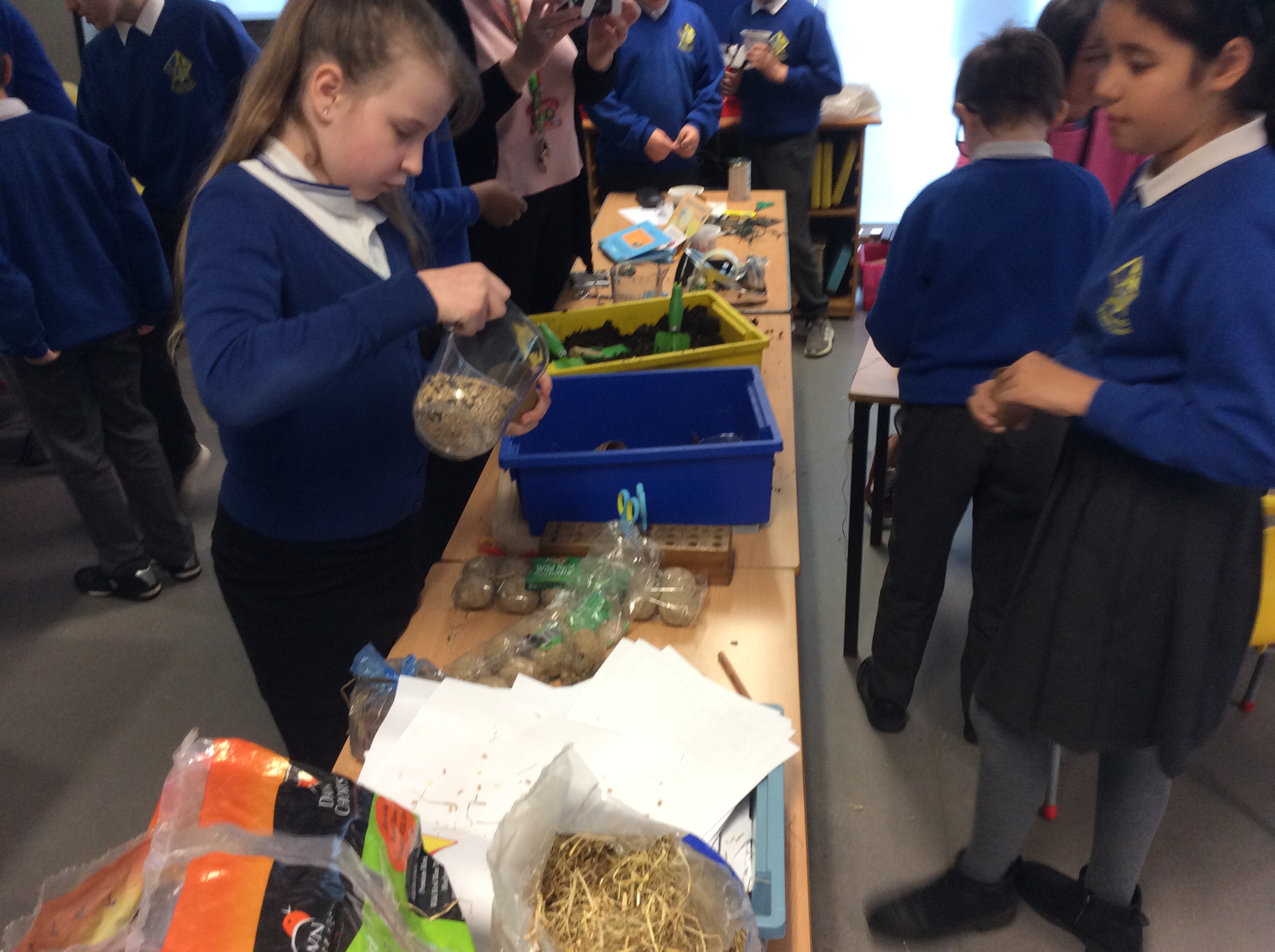 Eco Den are creating! – St David's R.C. Primary School